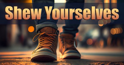 Shew Yourselves | markcahill.org